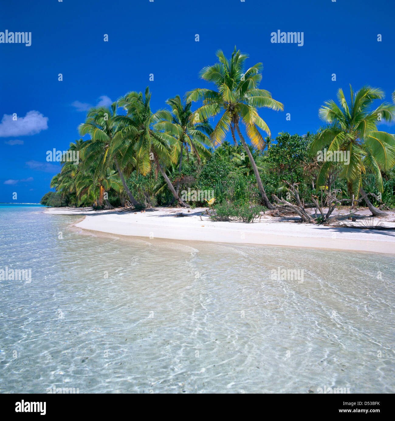 Motu beach, aitutaki, cook islands hi-res stock photography and images ...