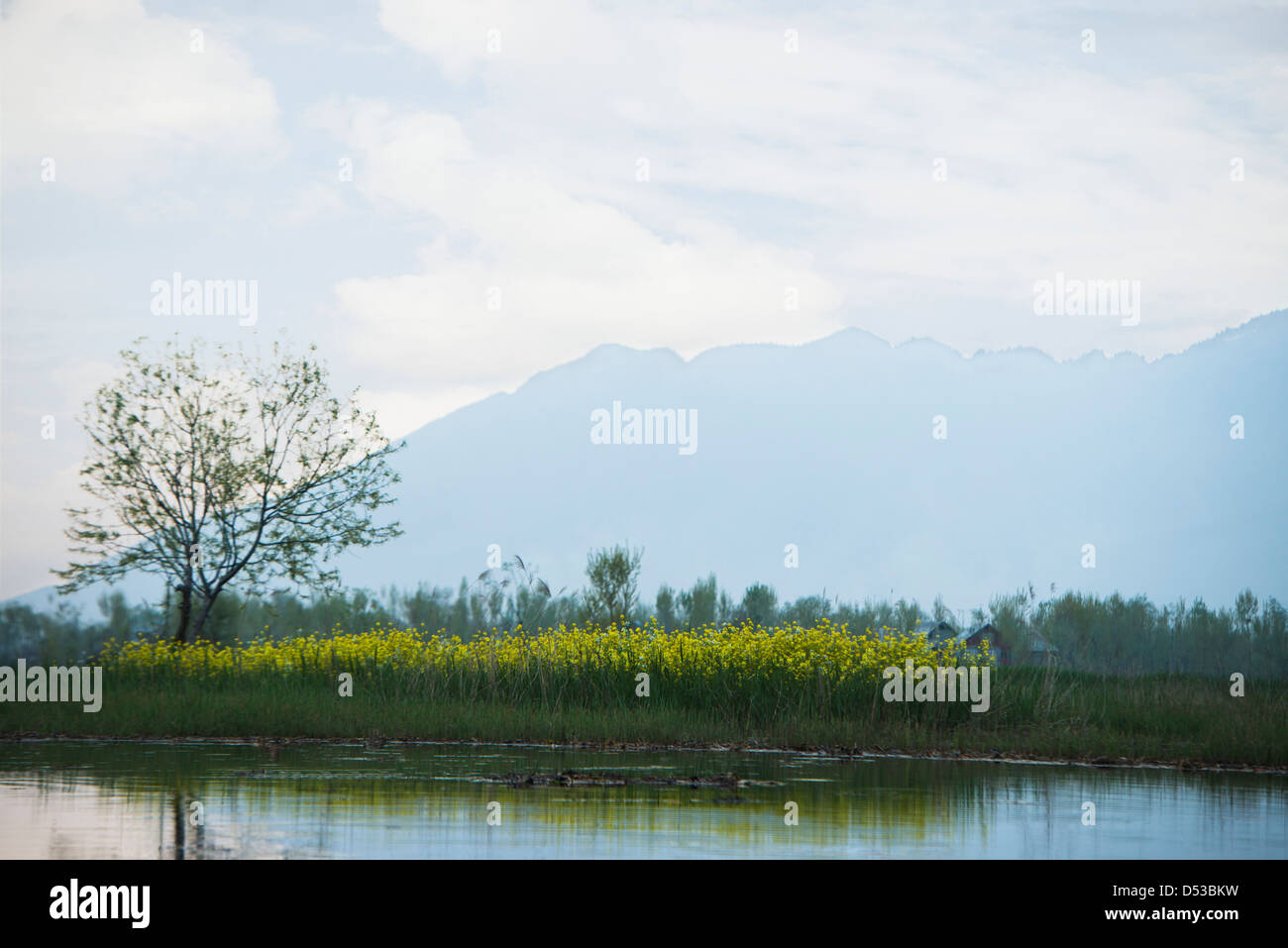 Jhelum valley hi-res stock photography and images - Alamy