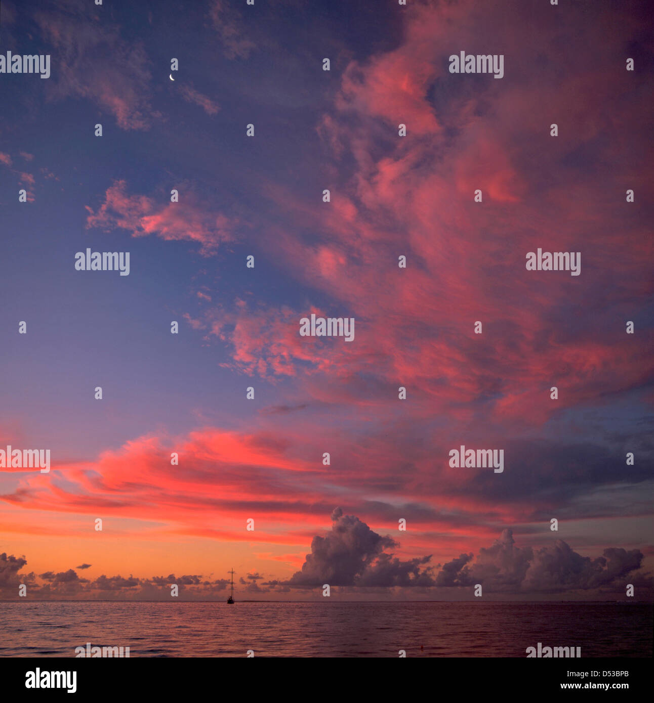 Pink Clouds with Moon over Sailboat and Lagoon on Moorea, French ...