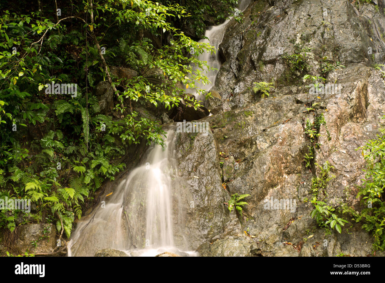 Rainforest with waterfall in the Barron Gorge near Cairns, Far North ...