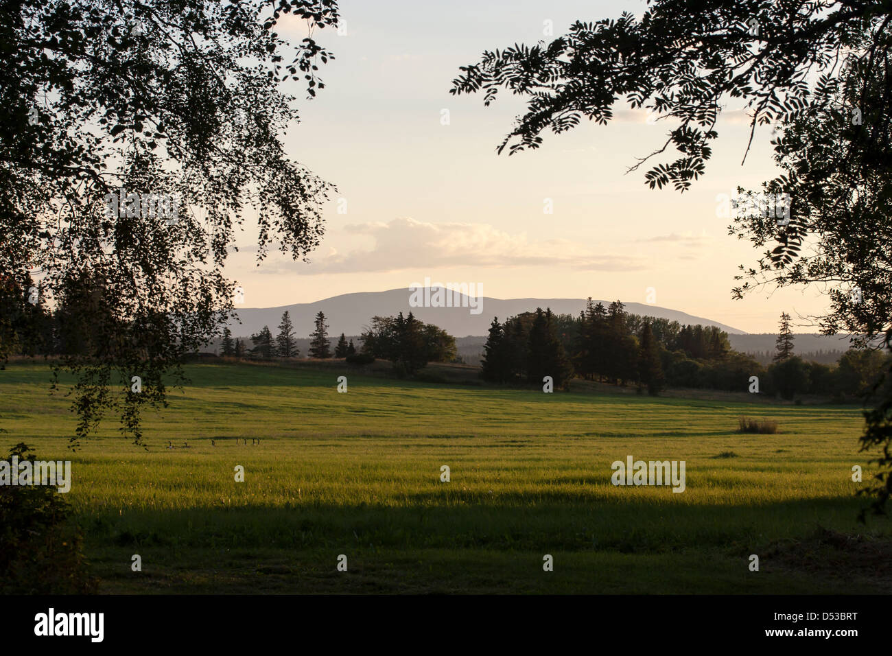 Beautiful nature landscape in Sweden Stock Photo - Alamy
