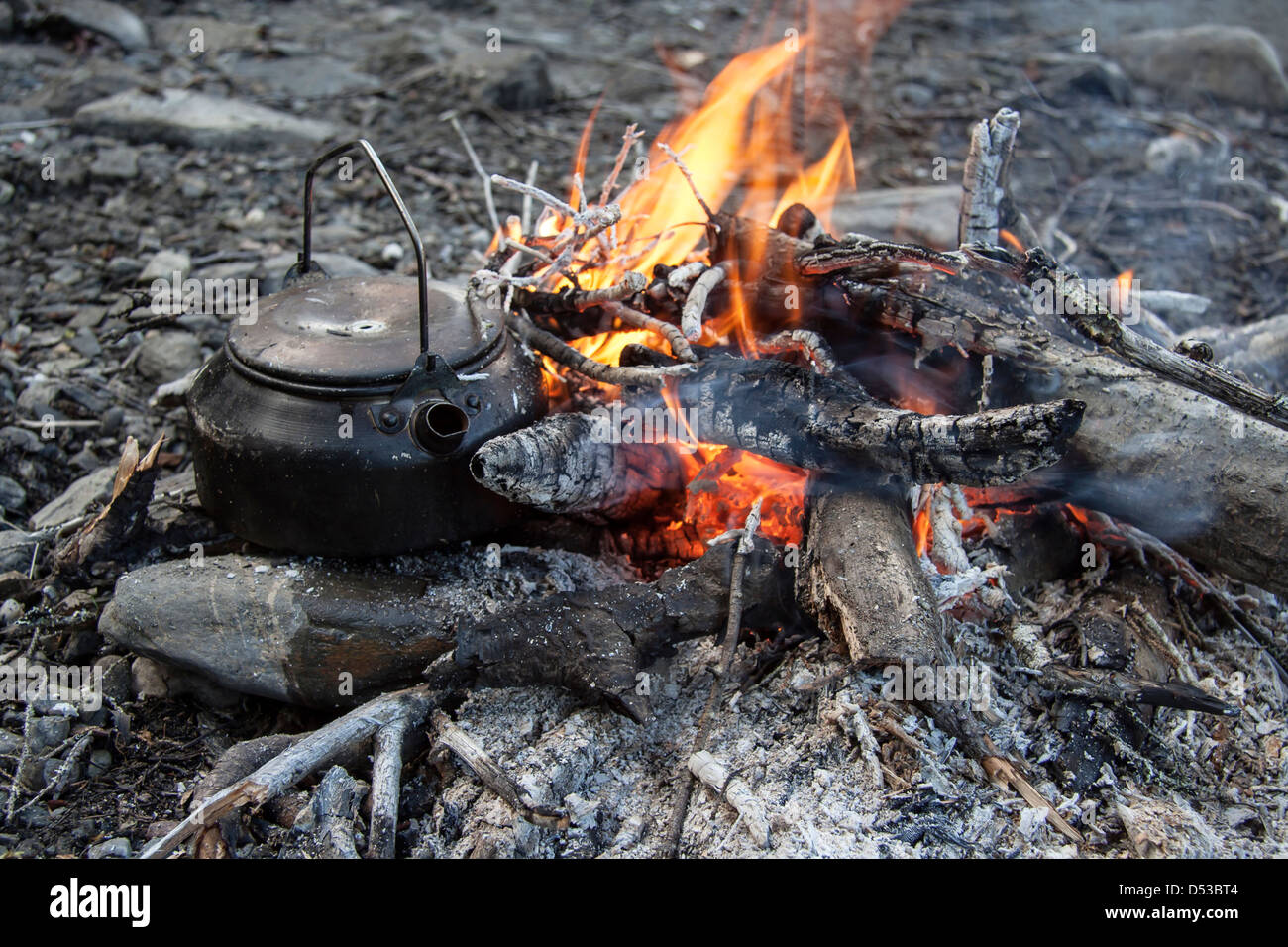 Camp fire in wild mountain Stock Photo - Alamy