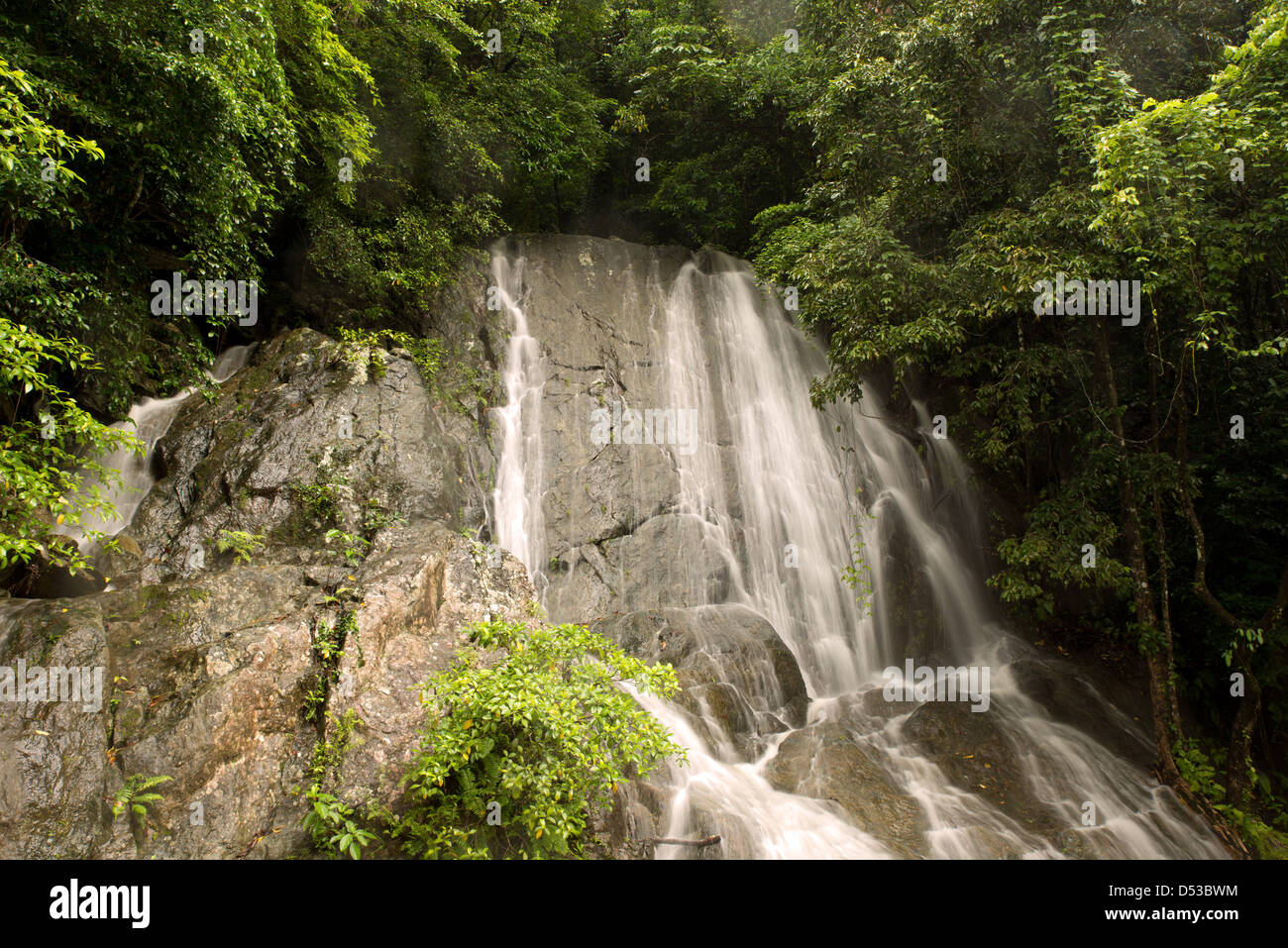 Rainforest with waterfall in the Barron Gorge near Cairns, Far North ...