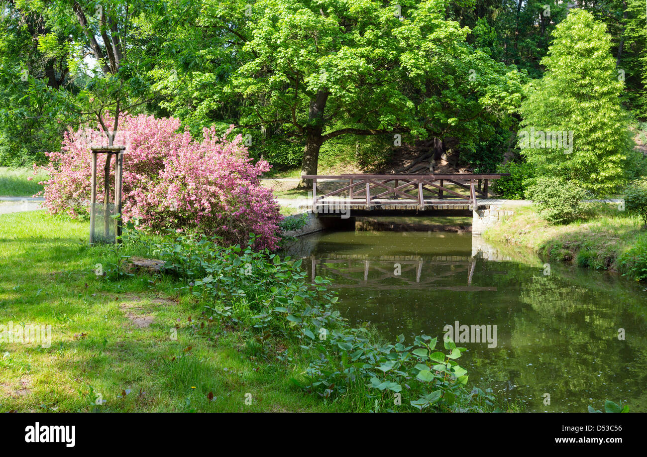 Canal with wooden bridge in summer city park Stock Photo - Alamy
