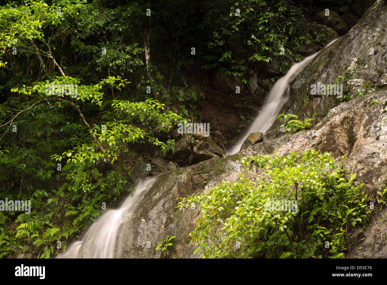 Rainforest with waterfall in the Barron Gorge near Cairns, Far North ...