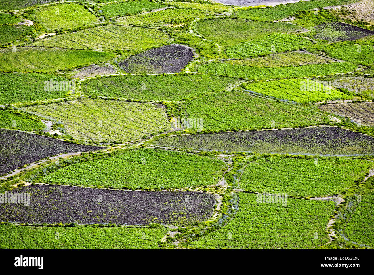 Green field aerial view hi-res stock photography and images - Alamy