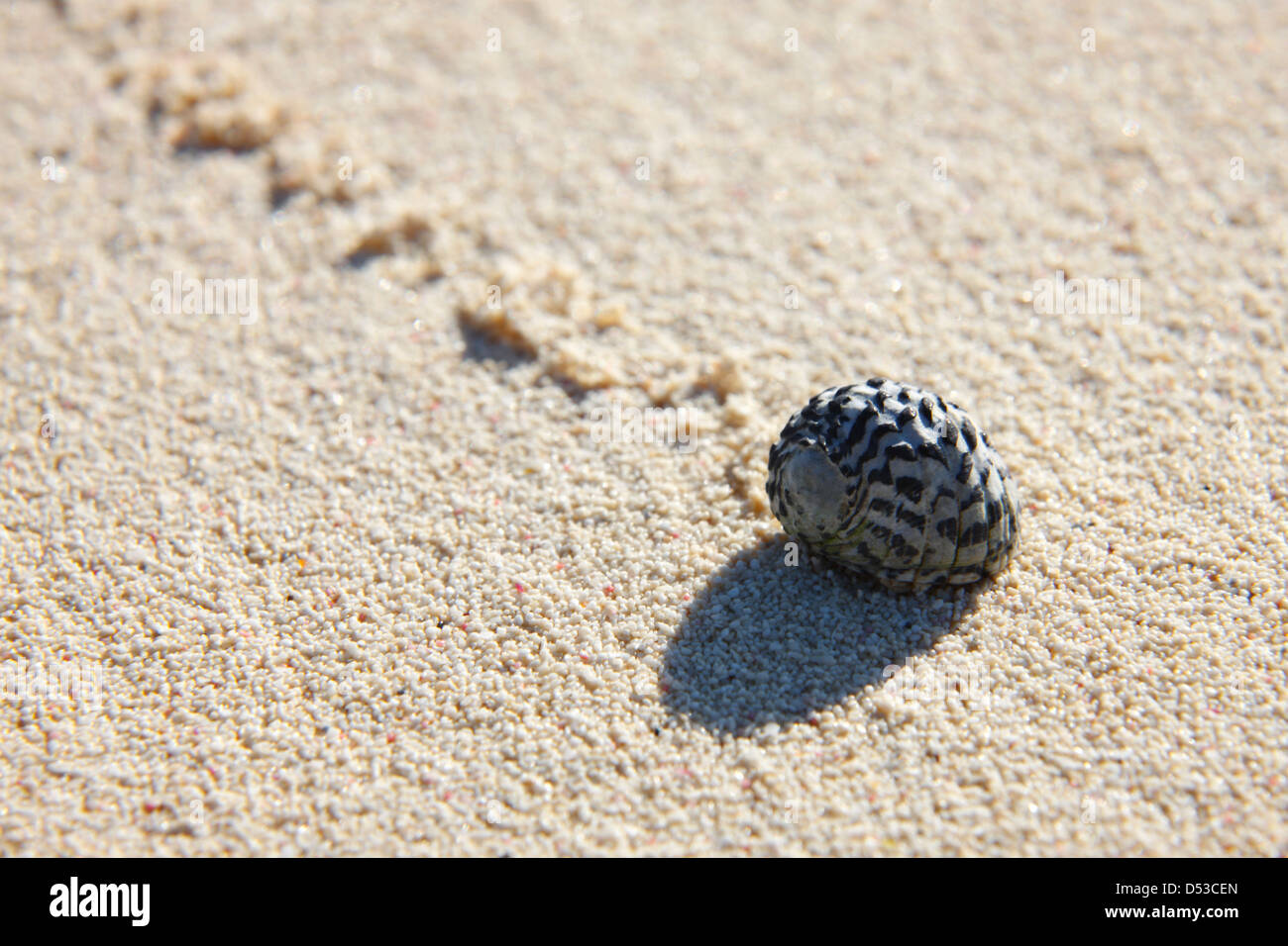 Moving path hi-res stock photography and images - Alamy