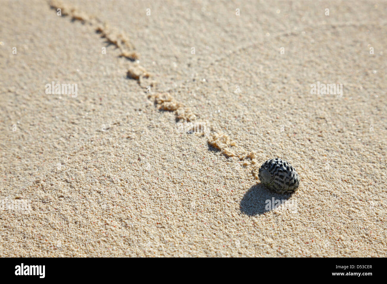 Snail trail hi-res stock photography and images - Alamy