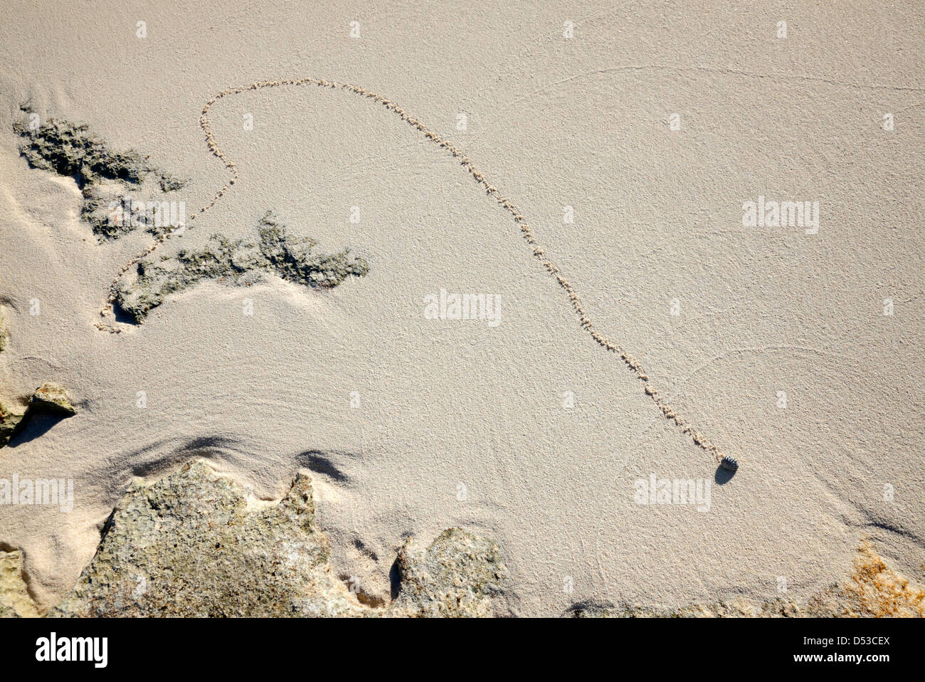 Shell path hi-res stock photography and images - Alamy