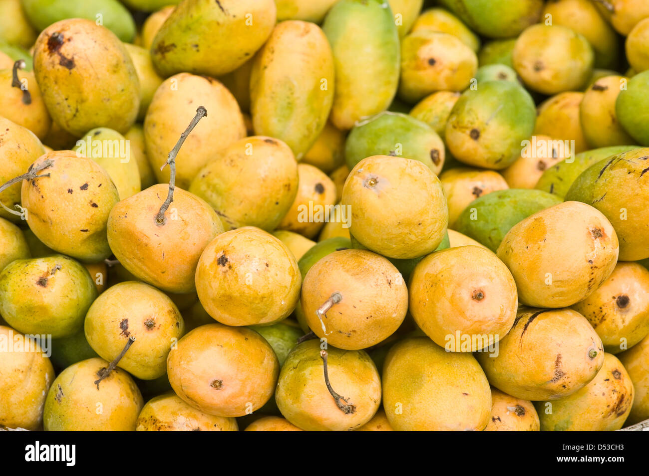 yellow mango on market closeup Stock Photo - Alamy