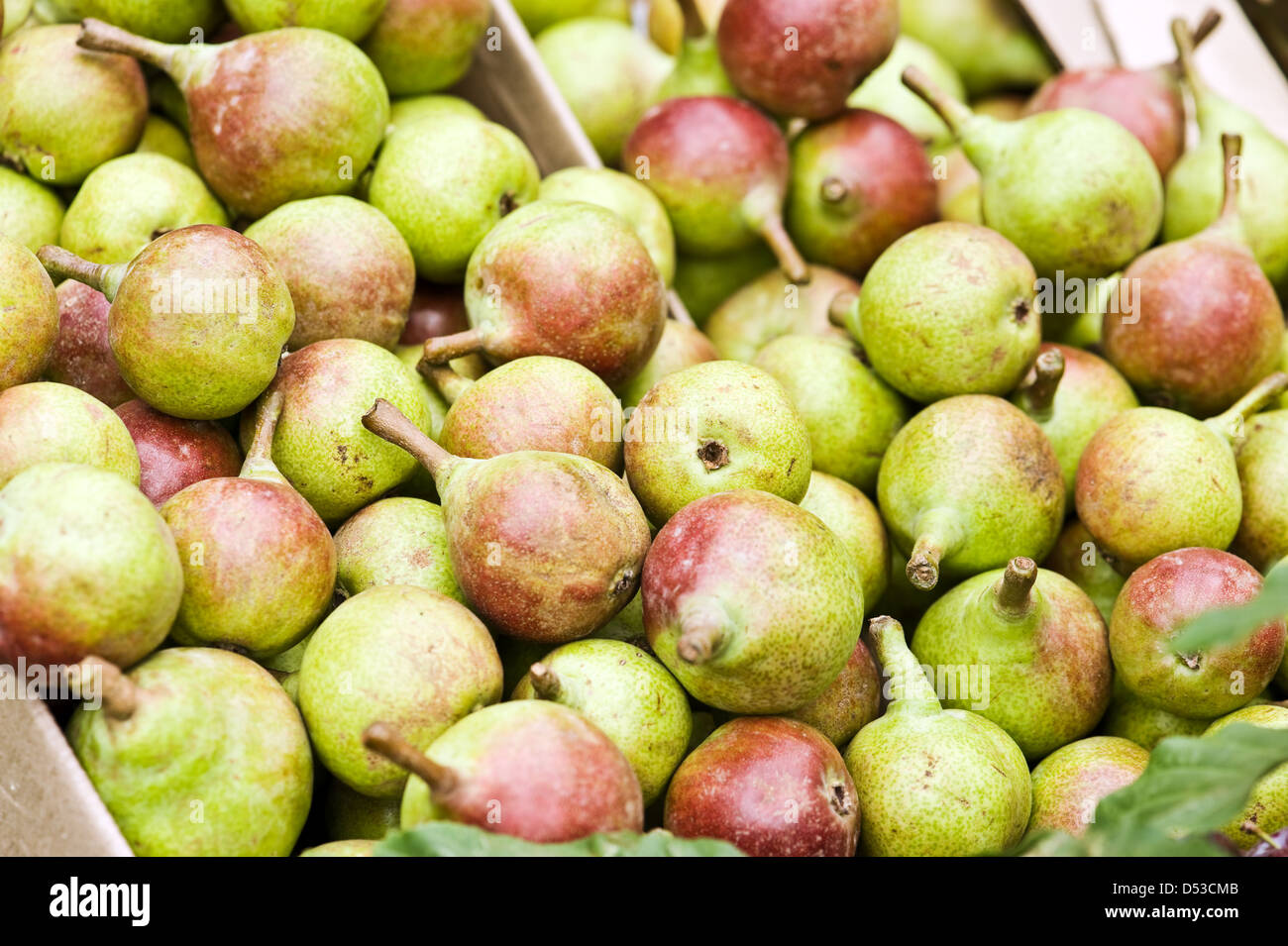 pears on market close up Stock Photo - Alamy