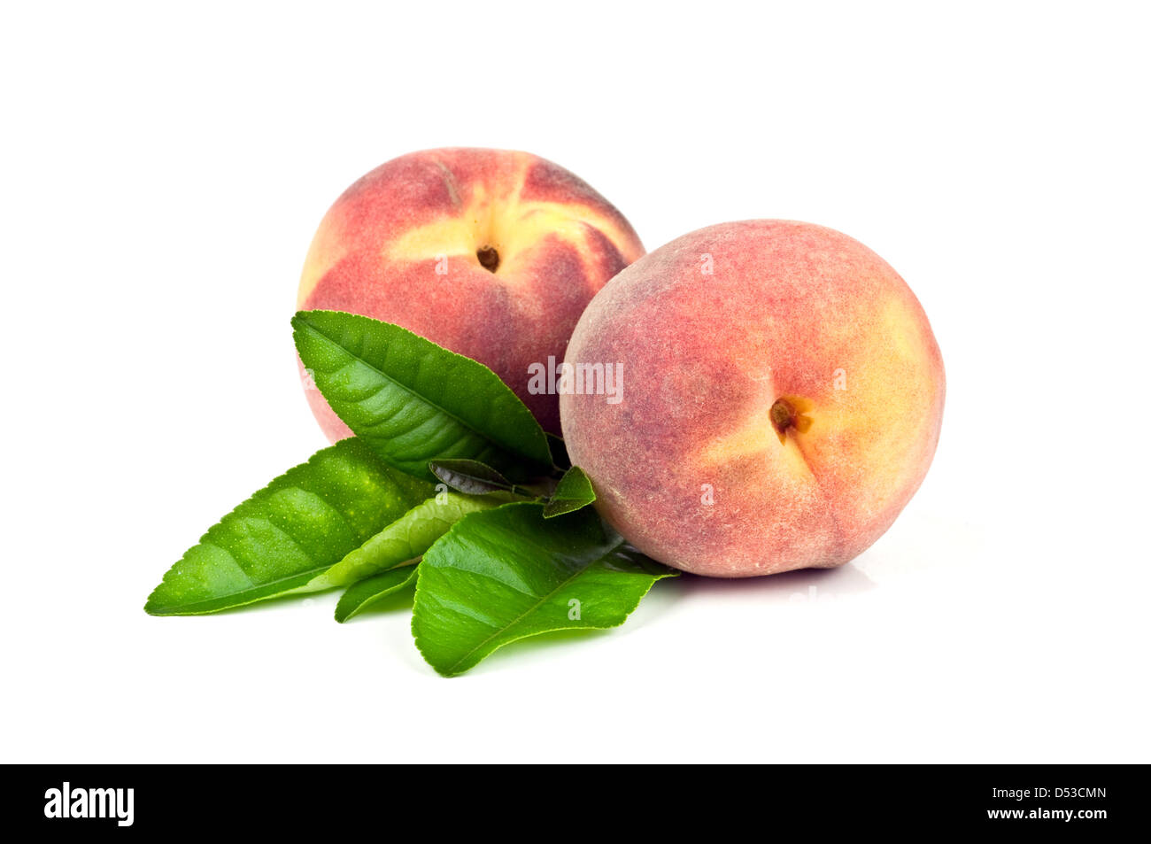 Peach white background leaf Cut Out Stock Images & Pictures - Alamy