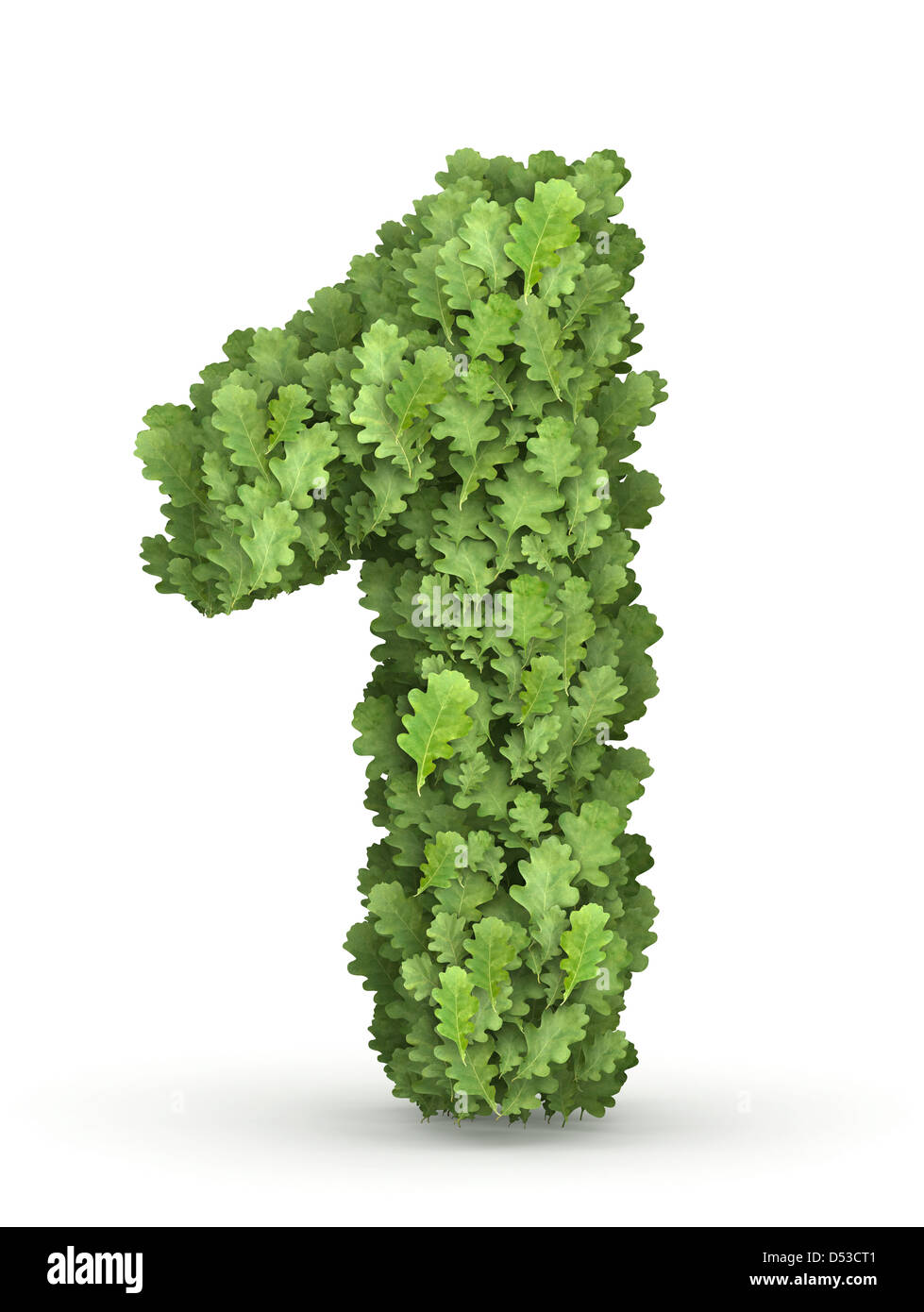 Number 1 from fresh green oak grow leaves Stock Photo - Alamy