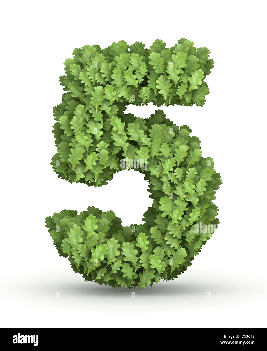 Number 5 from fresh green oak grow leaves Stock Photo - Alamy