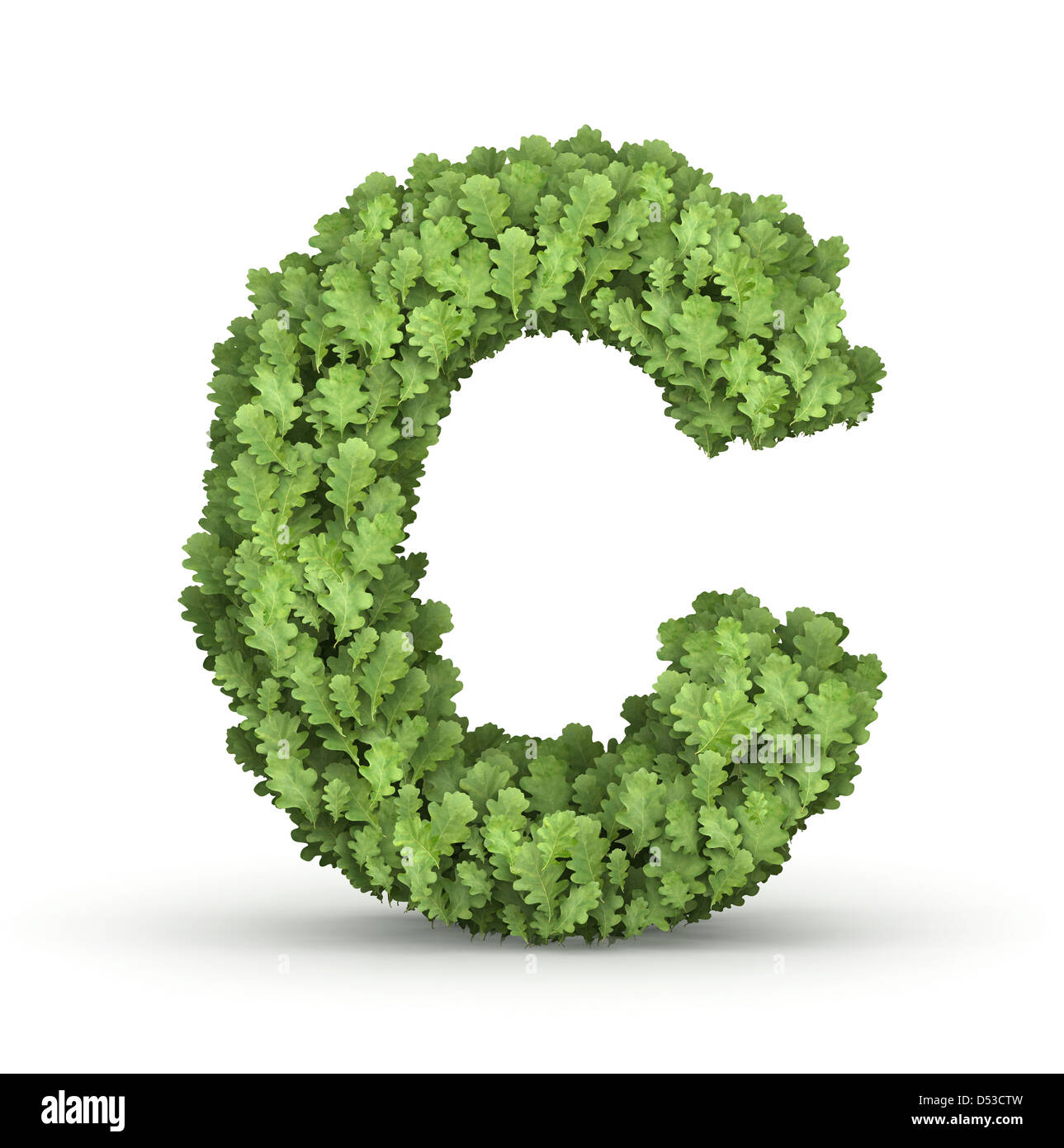 Letter c plant hi-res stock photography and images - Alamy