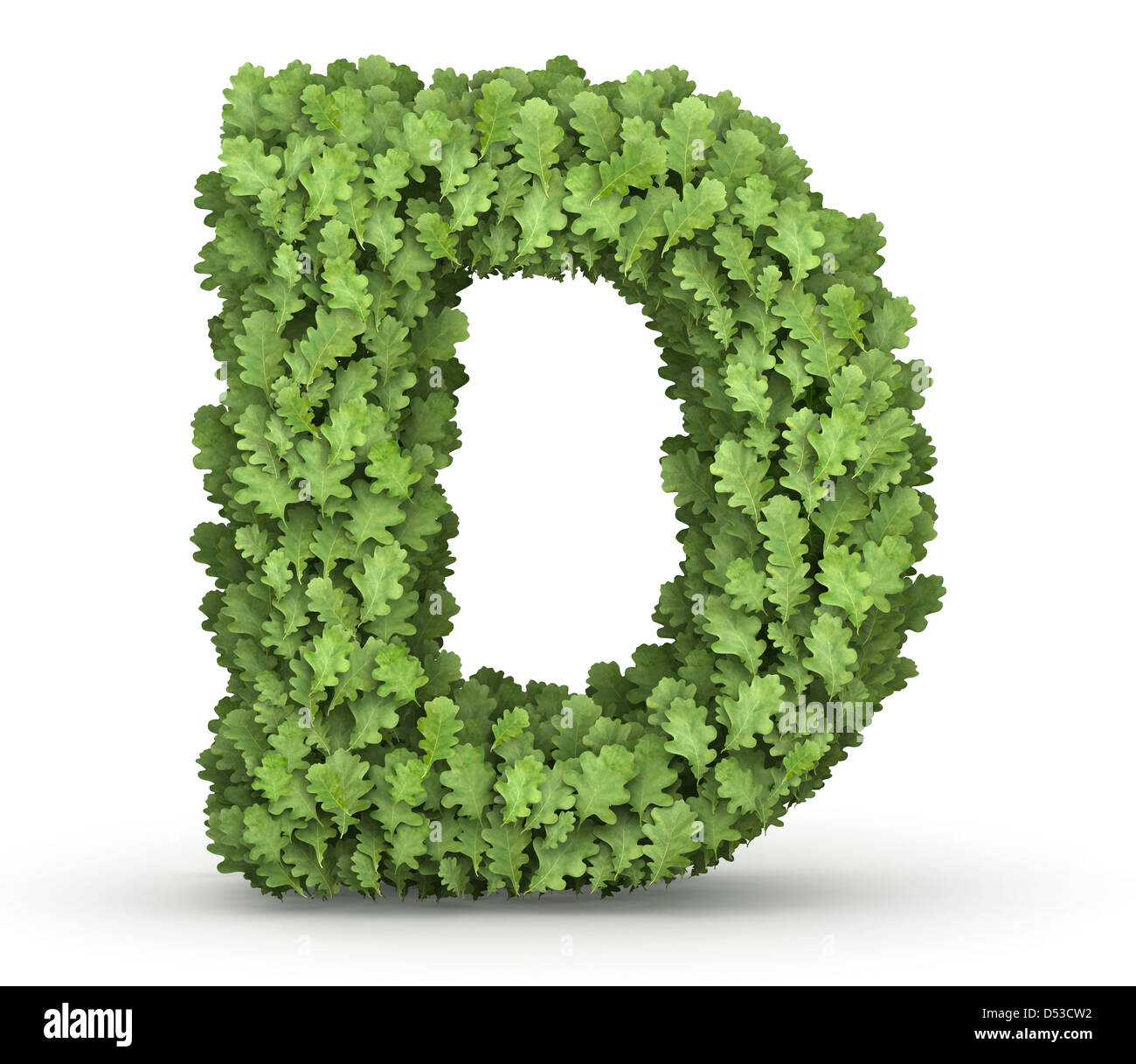 Letter D from fresh green oak grow leaves Stock Photo - Alamy