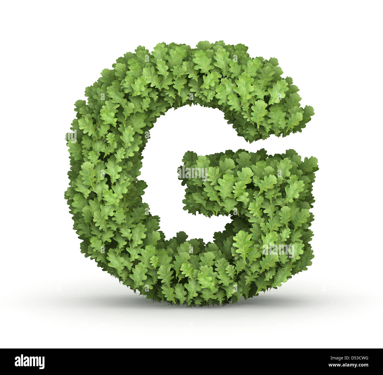 Letter G from fresh green oak grow leaves Stock Photo - Alamy