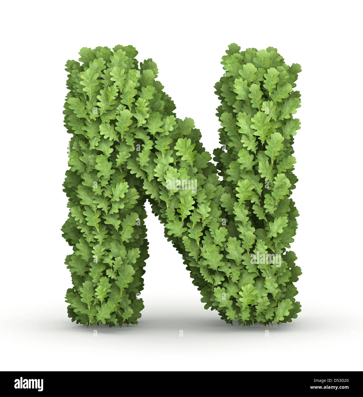 Letter n oak leaf hi-res stock photography and images - Alamy