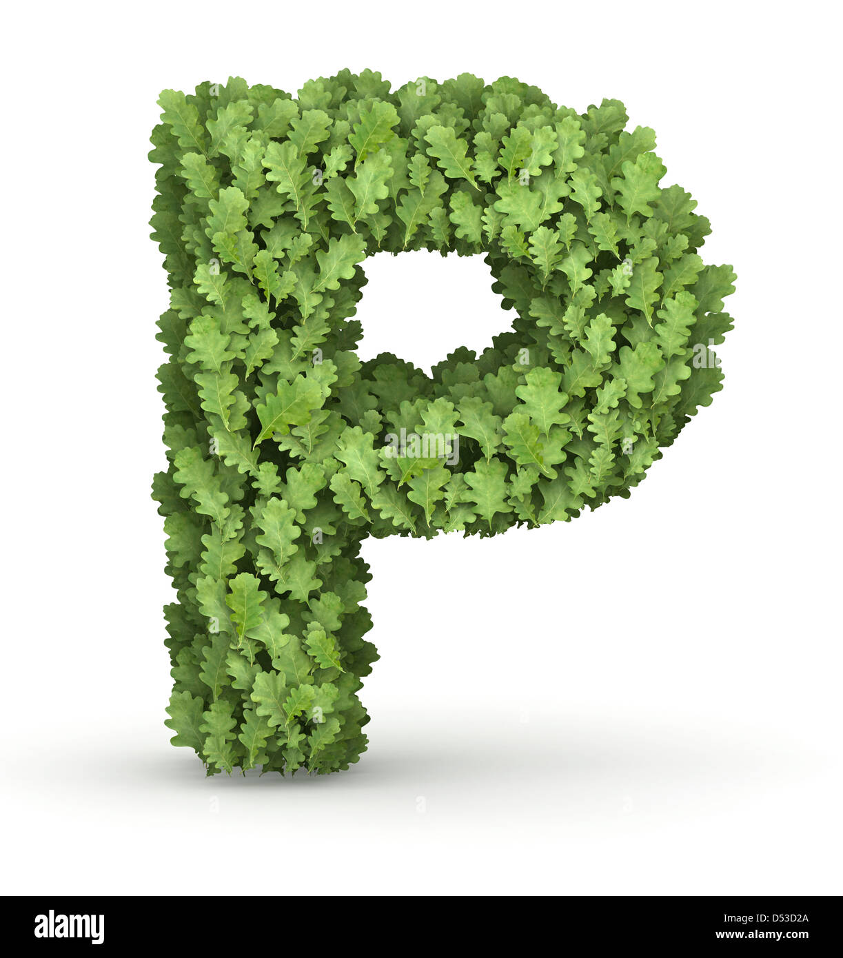 Letter p oak leaf hi-res stock photography and images - Alamy