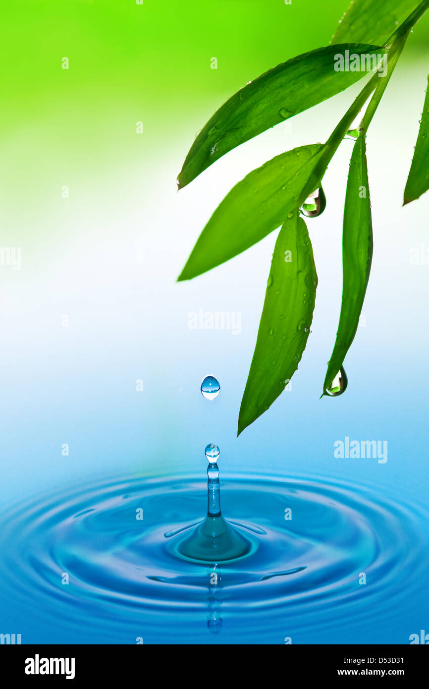 Concentric circles in nature hi-res stock photography and images - Alamy