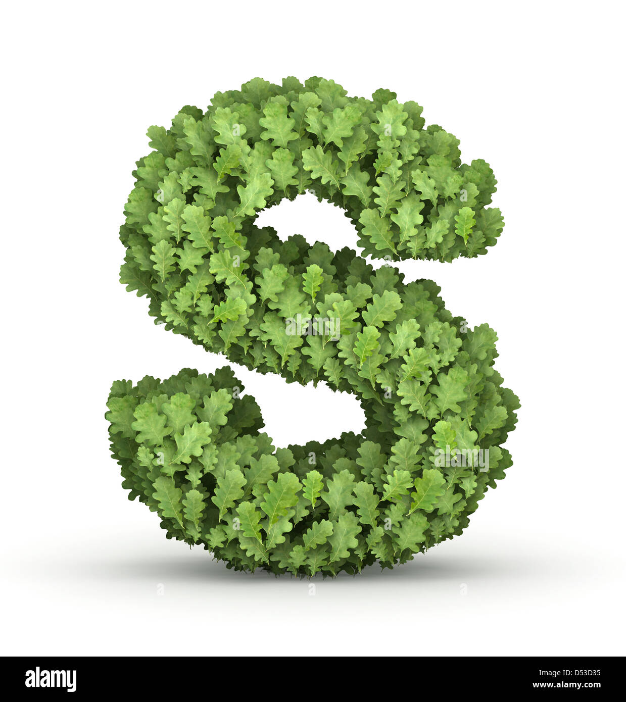 Forest s Cut Out Stock Images & Pictures - Alamy