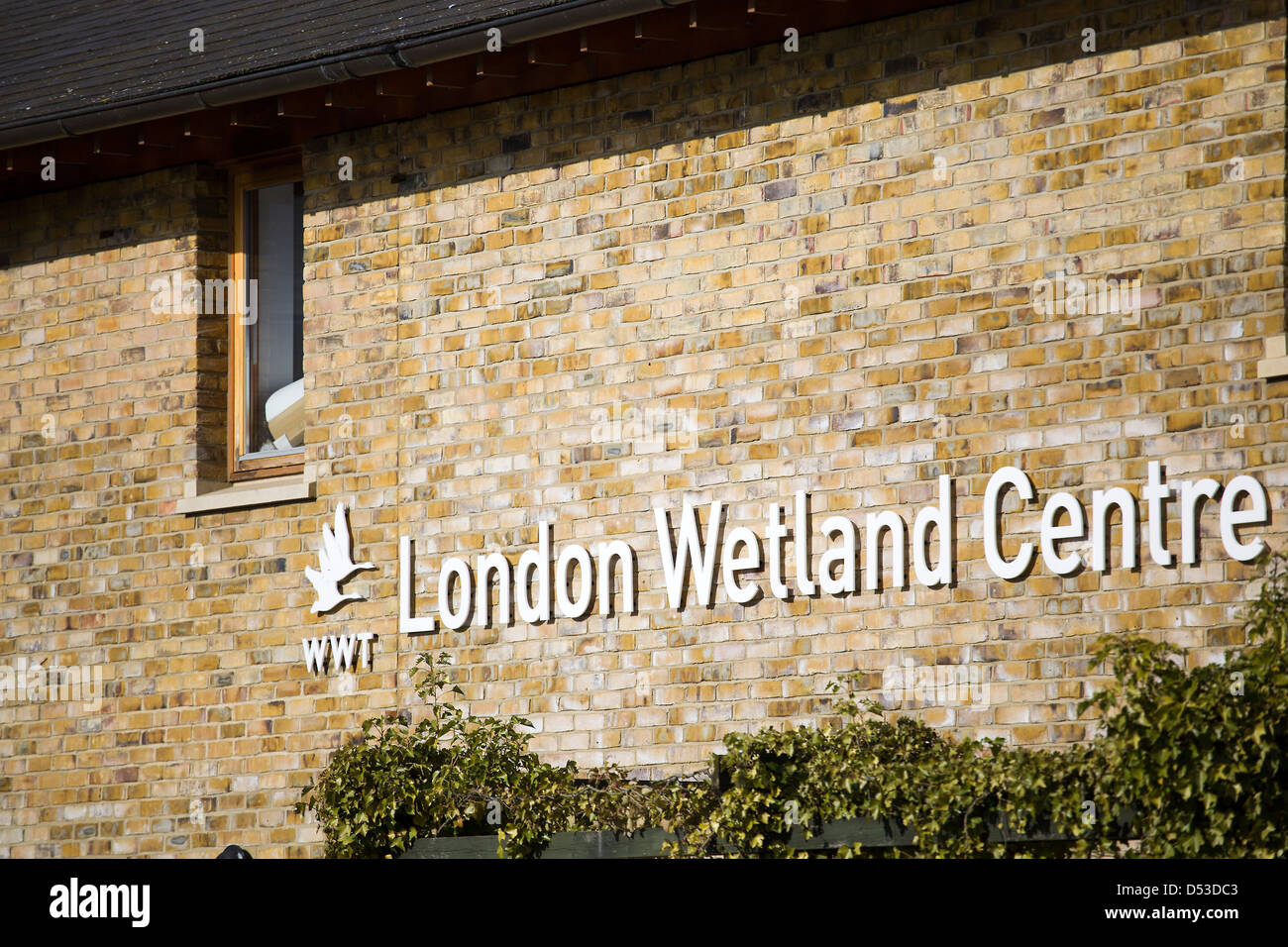 WWT London Wetland Centre Stock Photo - Alamy