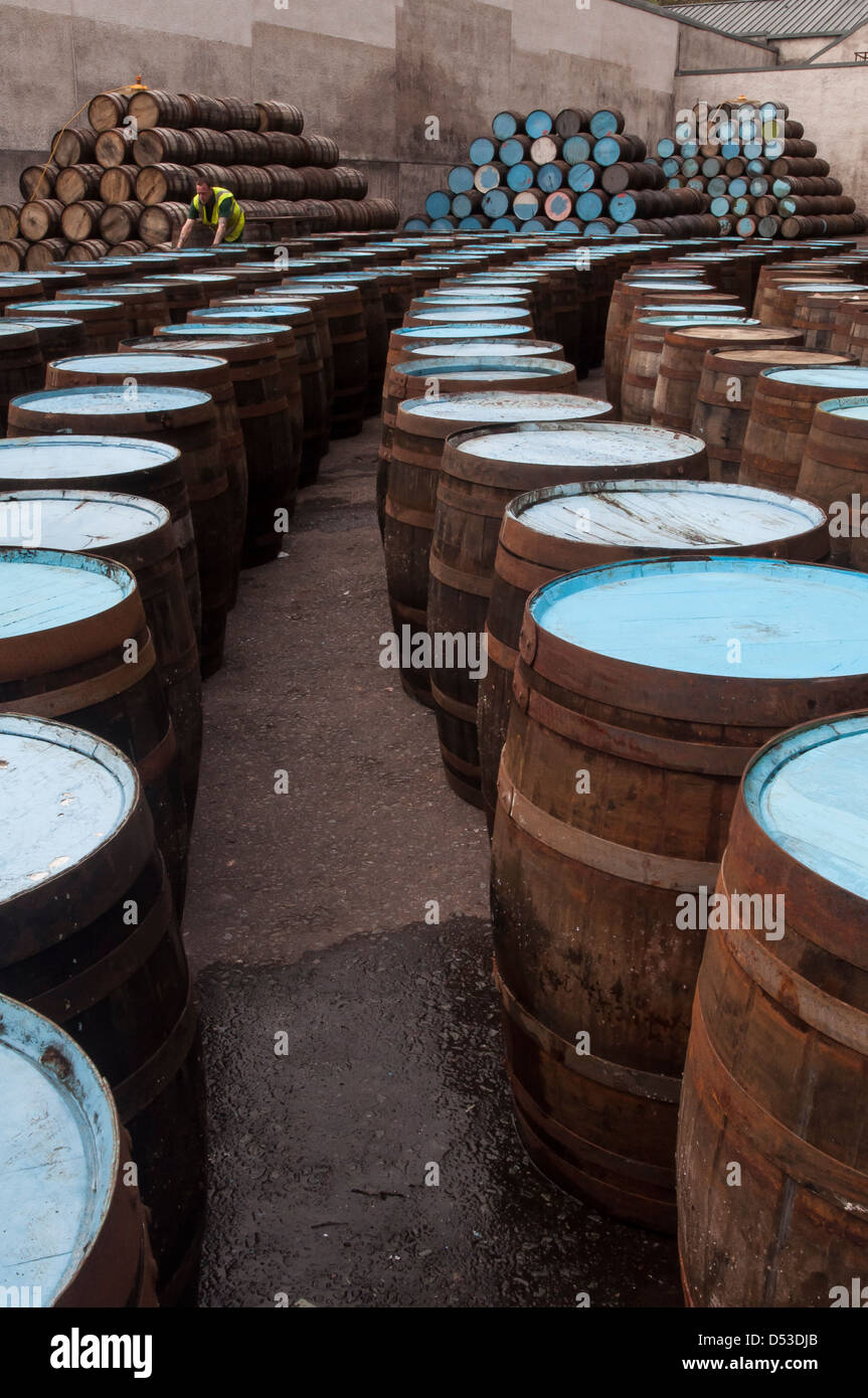 Whisky barrels in destillery yard Stock Photo - Alamy
