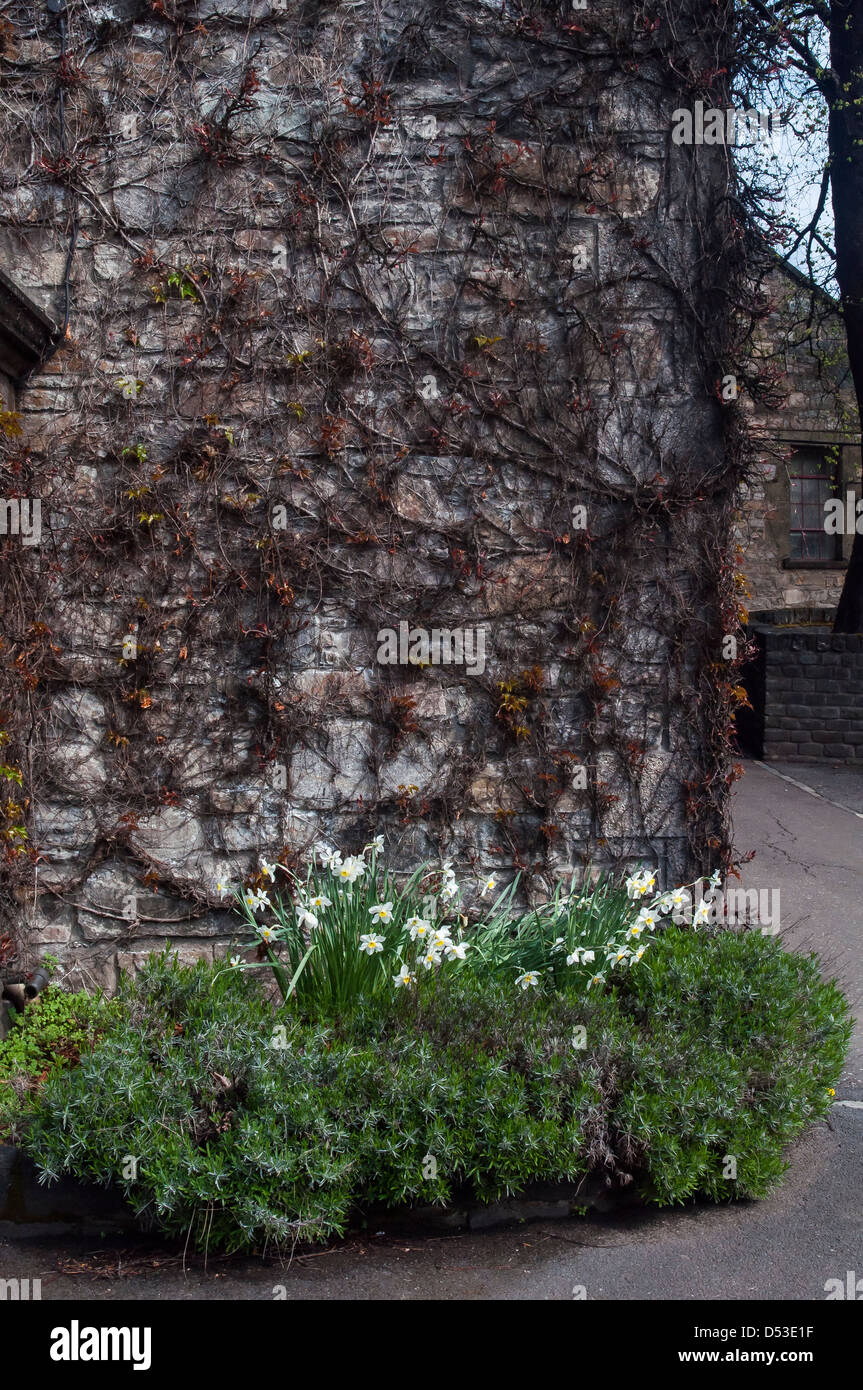 Whisky distillery exterior Stock Photo - Alamy