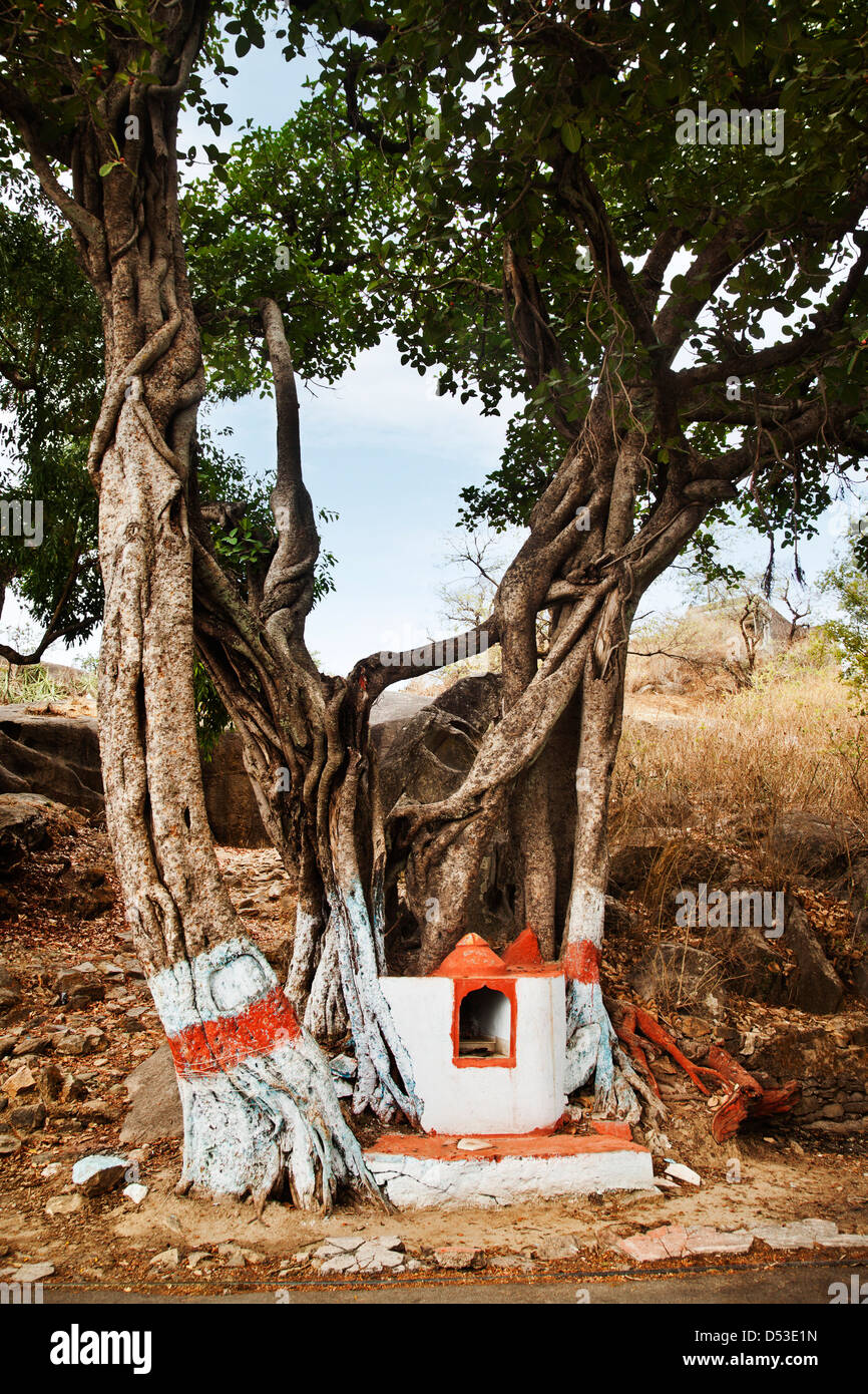 Small shrine under a tree, Mount Abu, Sirohi District, Rajasthan, India ...