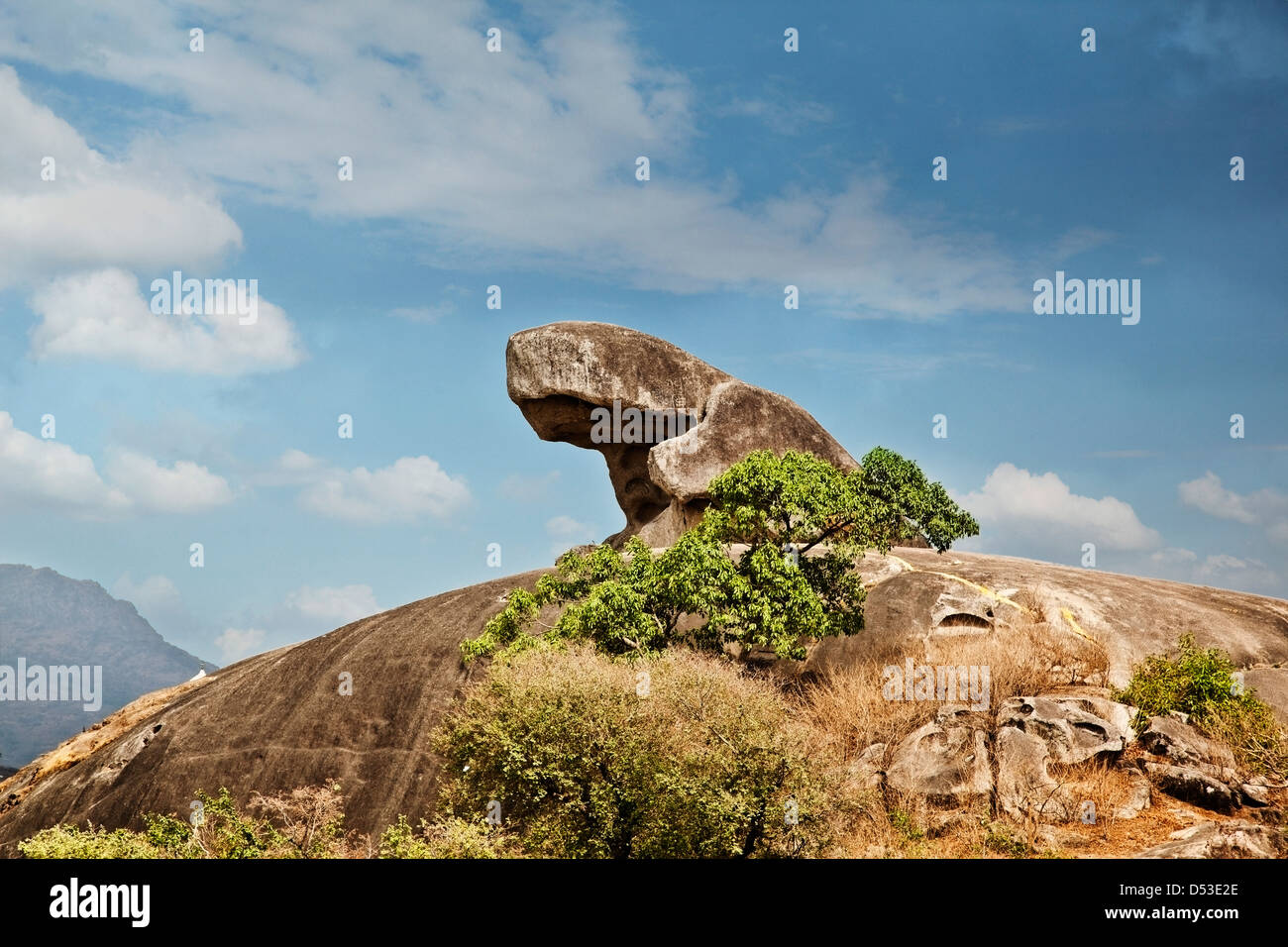 Toad Rock on a hill, Mount Abu, Sirohi District, Rajasthan, India Stock ...