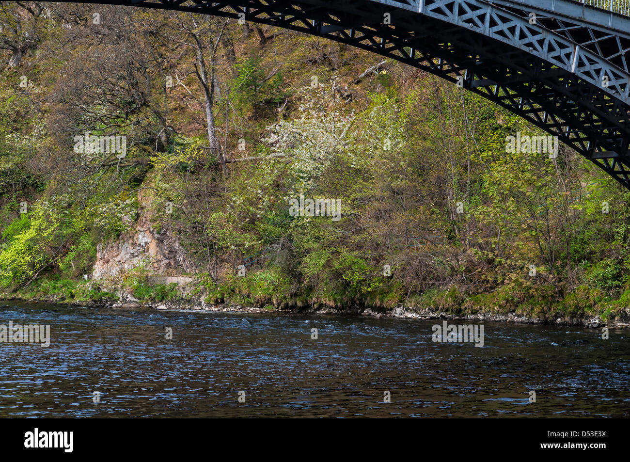 River Spey with Craggelaichie bridge Stock Photo - Alamy