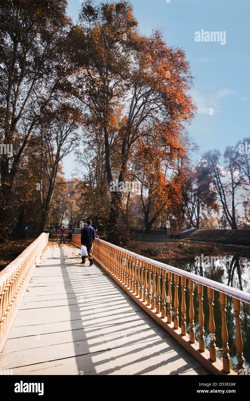 Footbridge over the canal, Chinar Bagh, Srinagar, Jammu And Kashmir ...