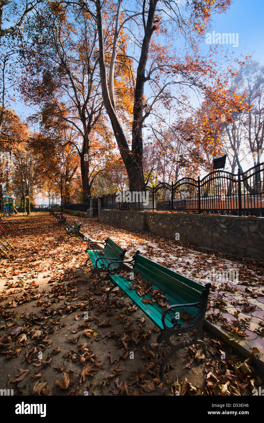Benches in a garden, Chinar Bagh, Srinagar, Jammu And Kashmir, India ...