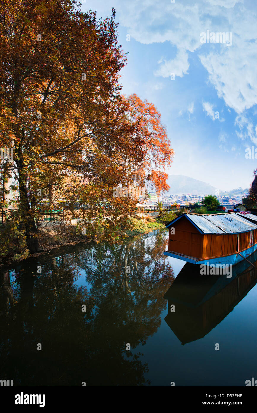Boat in the canal, Chinar Bagh, Srinagar, Jammu And Kashmir, India ...