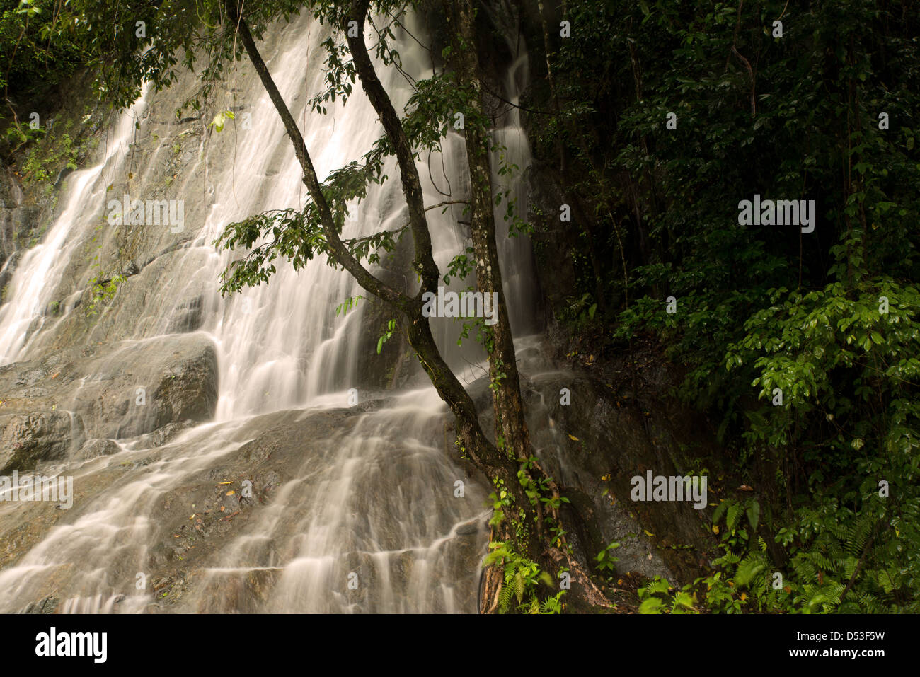 Rainforest with waterfall in the Barron Gorge near Cairns, Far North ...