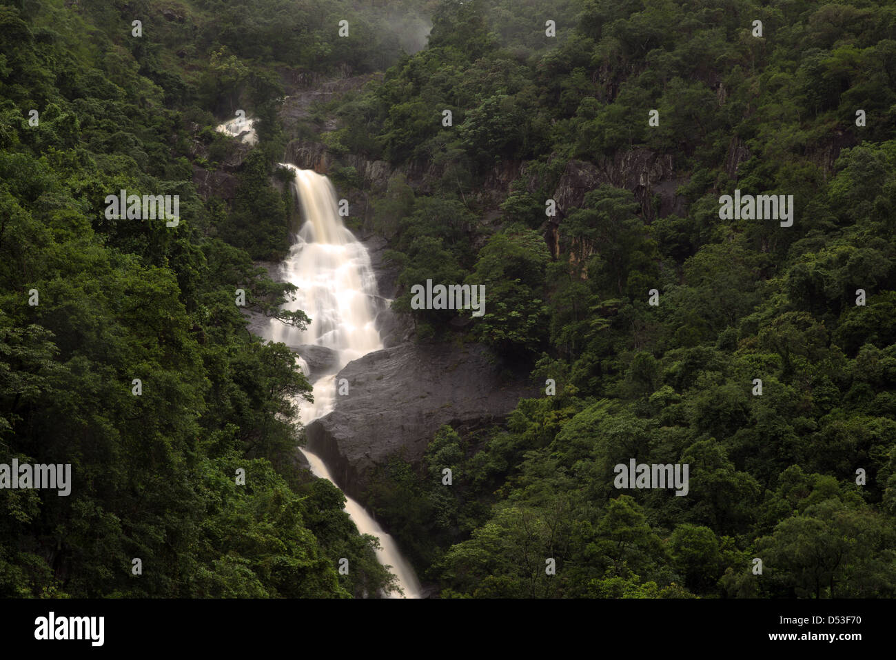 Rainforest with waterfall in the Barron Gorge near Cairns, Far North ...