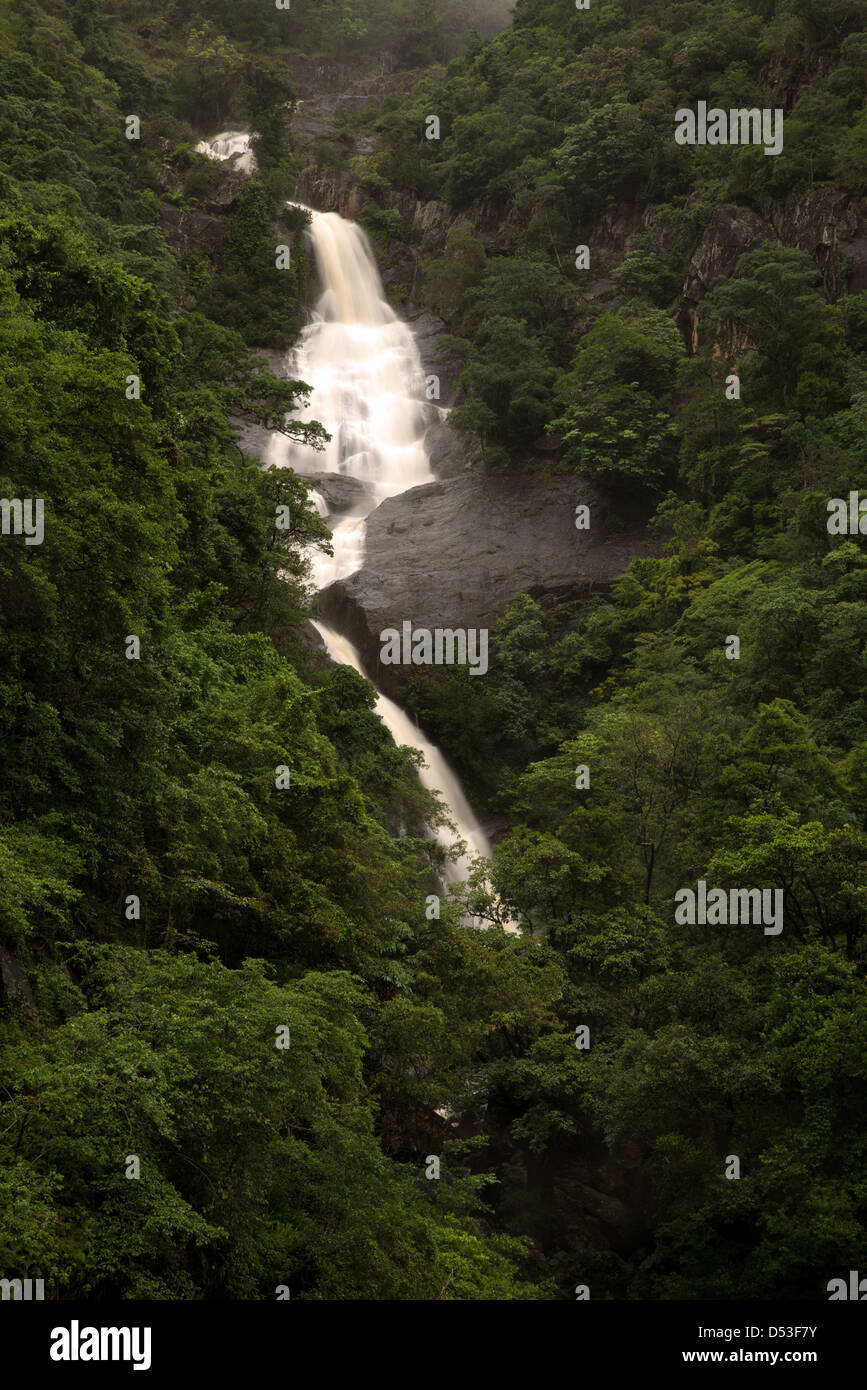 Rainforest with waterfall in the Barron Gorge near Cairns, Far North ...