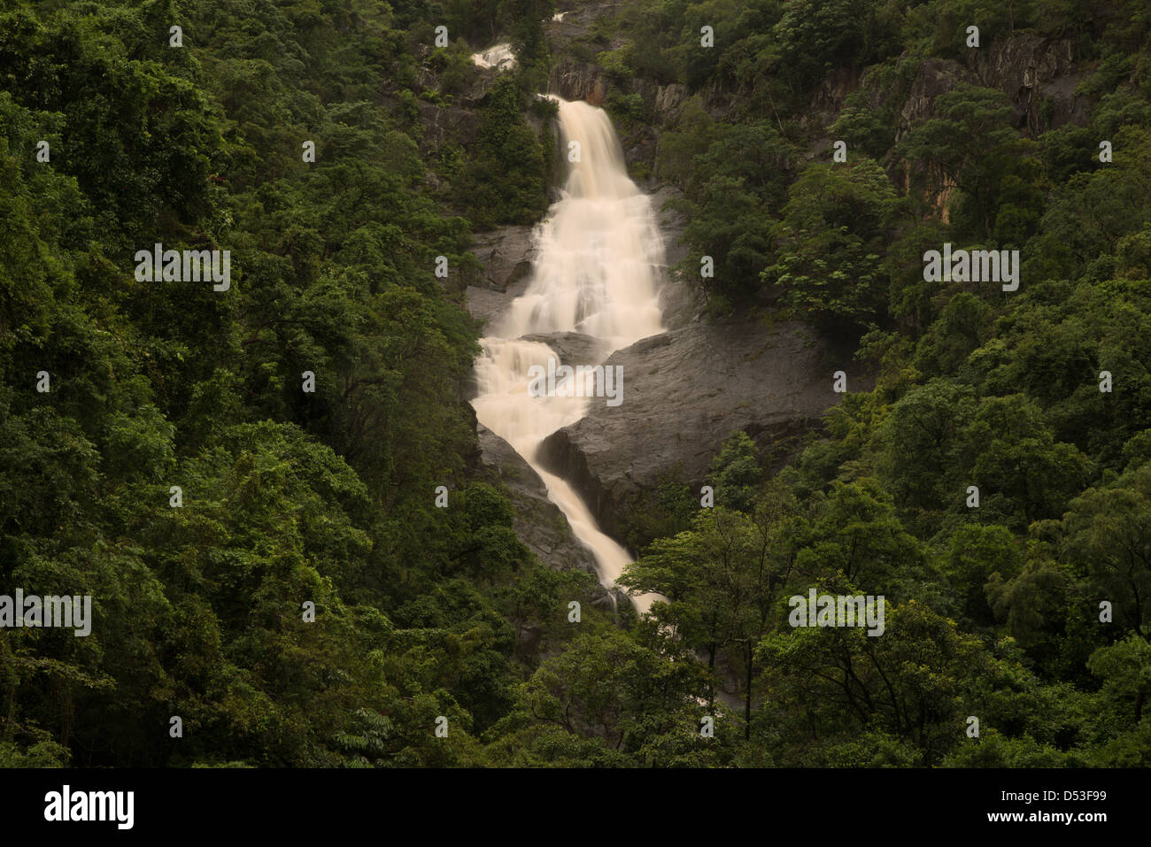 Rainforest with waterfall in the Barron Gorge near Cairns, Far North ...