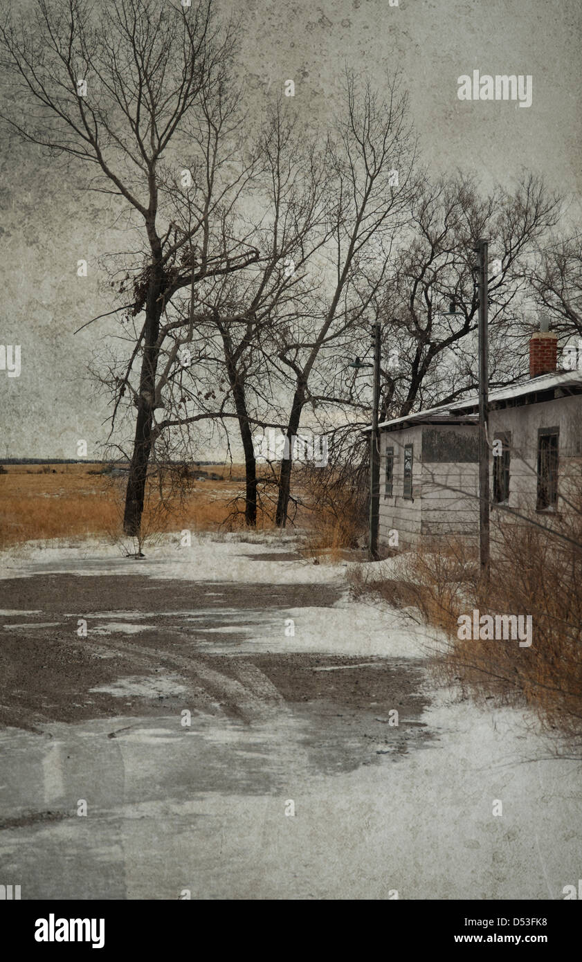 Desolate Winter Landscape