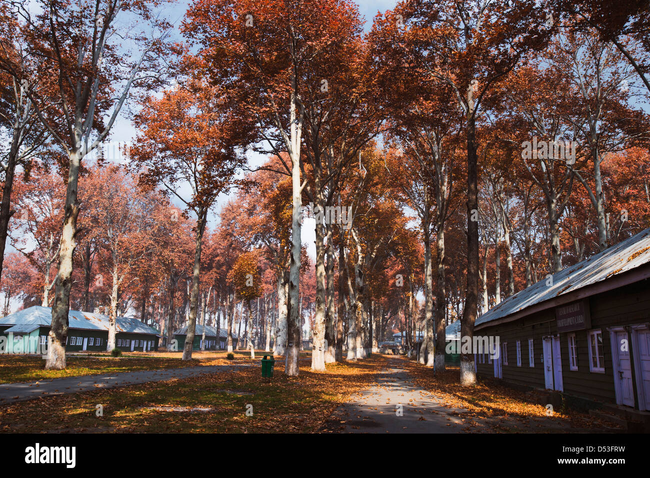 Naseem bagh hi-res stock photography and images - Alamy
