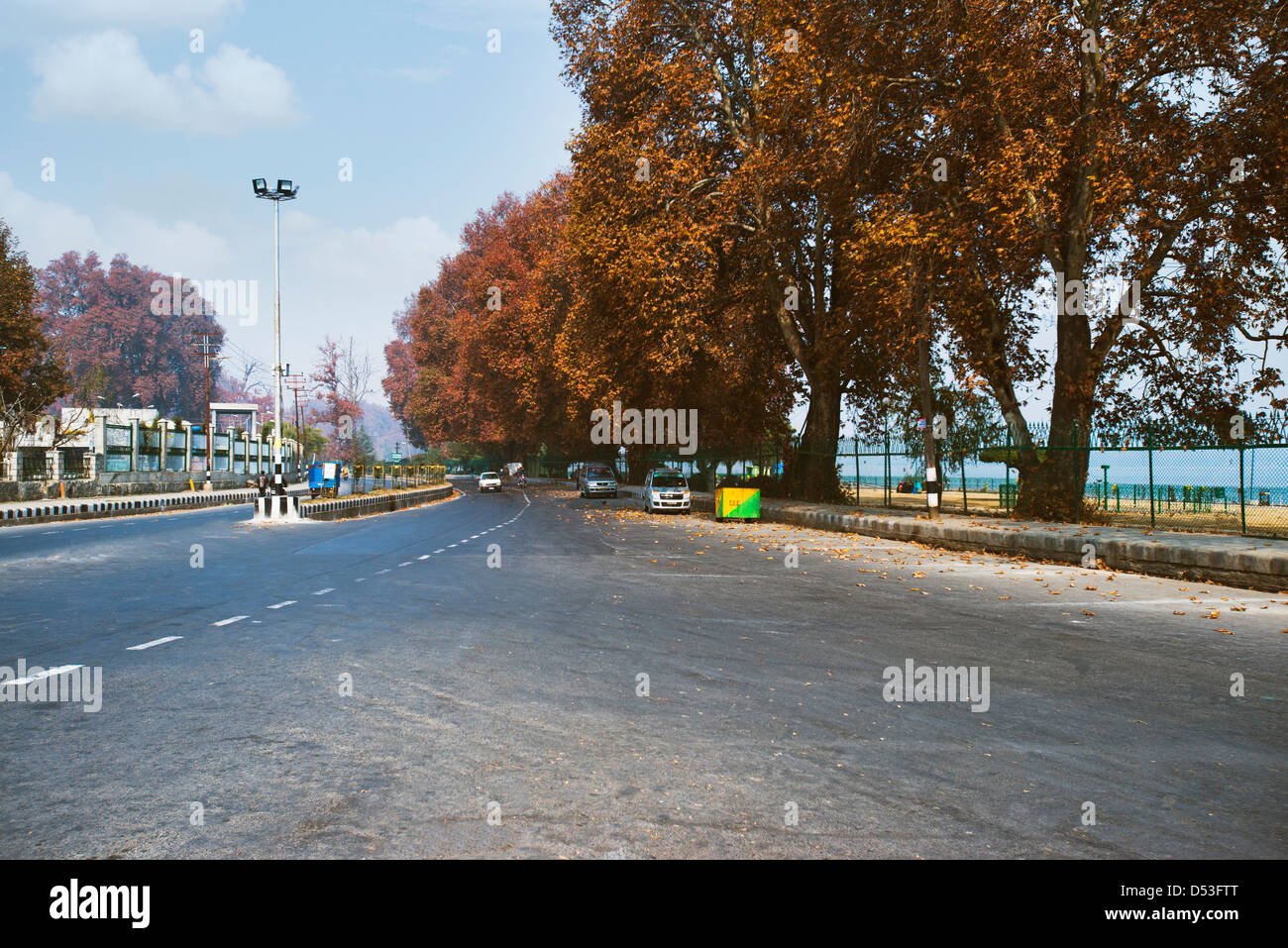 Trees along a road, Kashmir, Jammu And Kashmir, India Stock Photo - Alamy