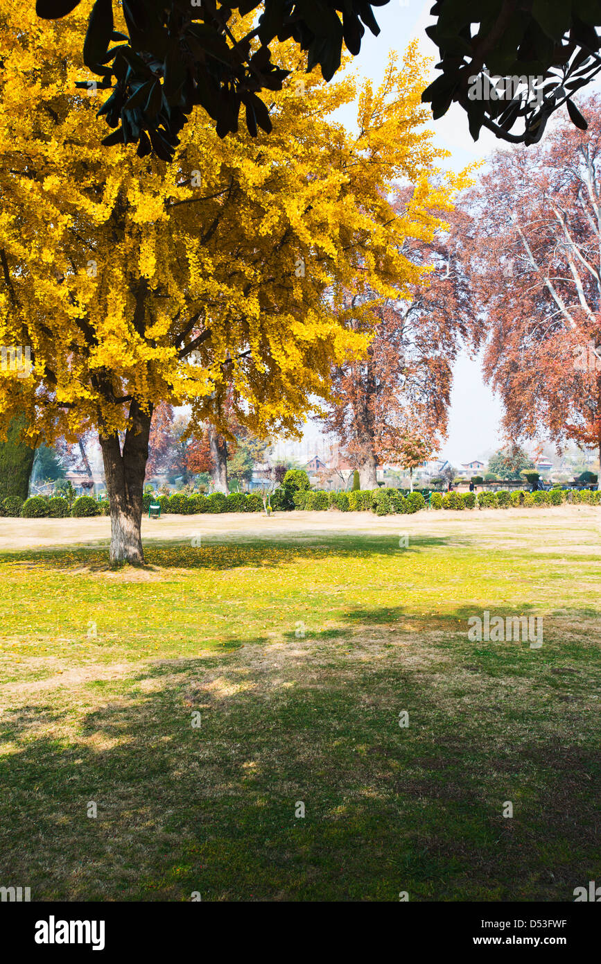 India kashmir srinagar shalimar bagh hi-res stock photography and ...