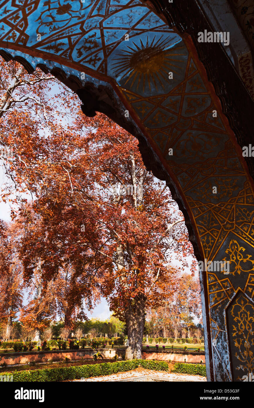 Trees in a garden, Shalimar Bagh, Srinagar, Jammu And Kashmir, India ...