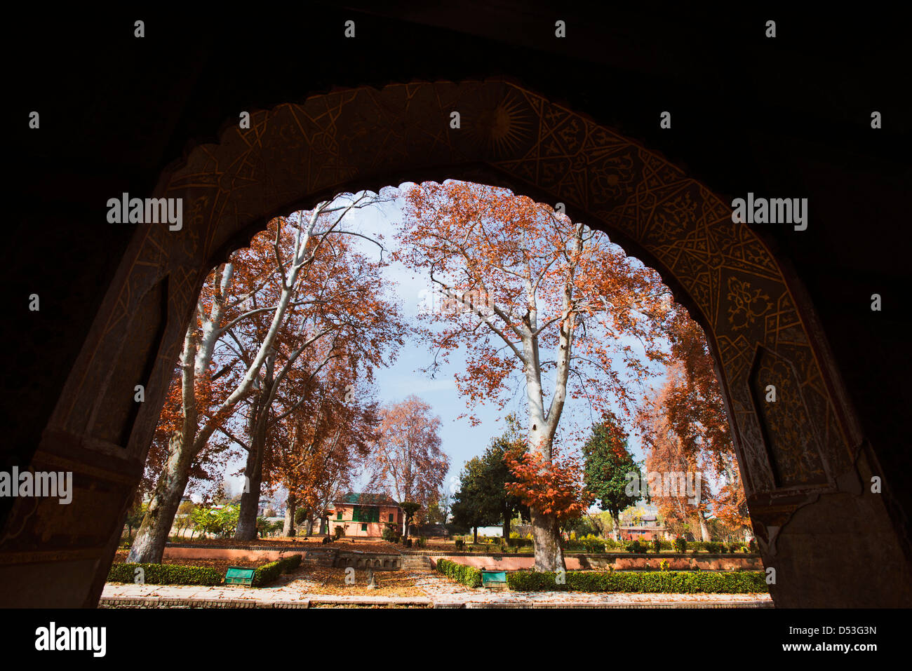 Trees in a garden, Shalimar Bagh, Srinagar, Jammu And Kashmir, India ...