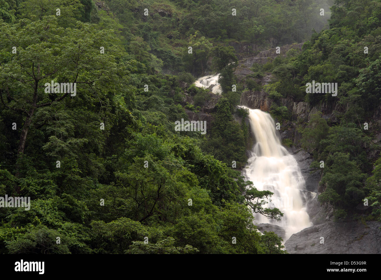 Rainforest with waterfall in the Barron Gorge near Cairns, Far North ...