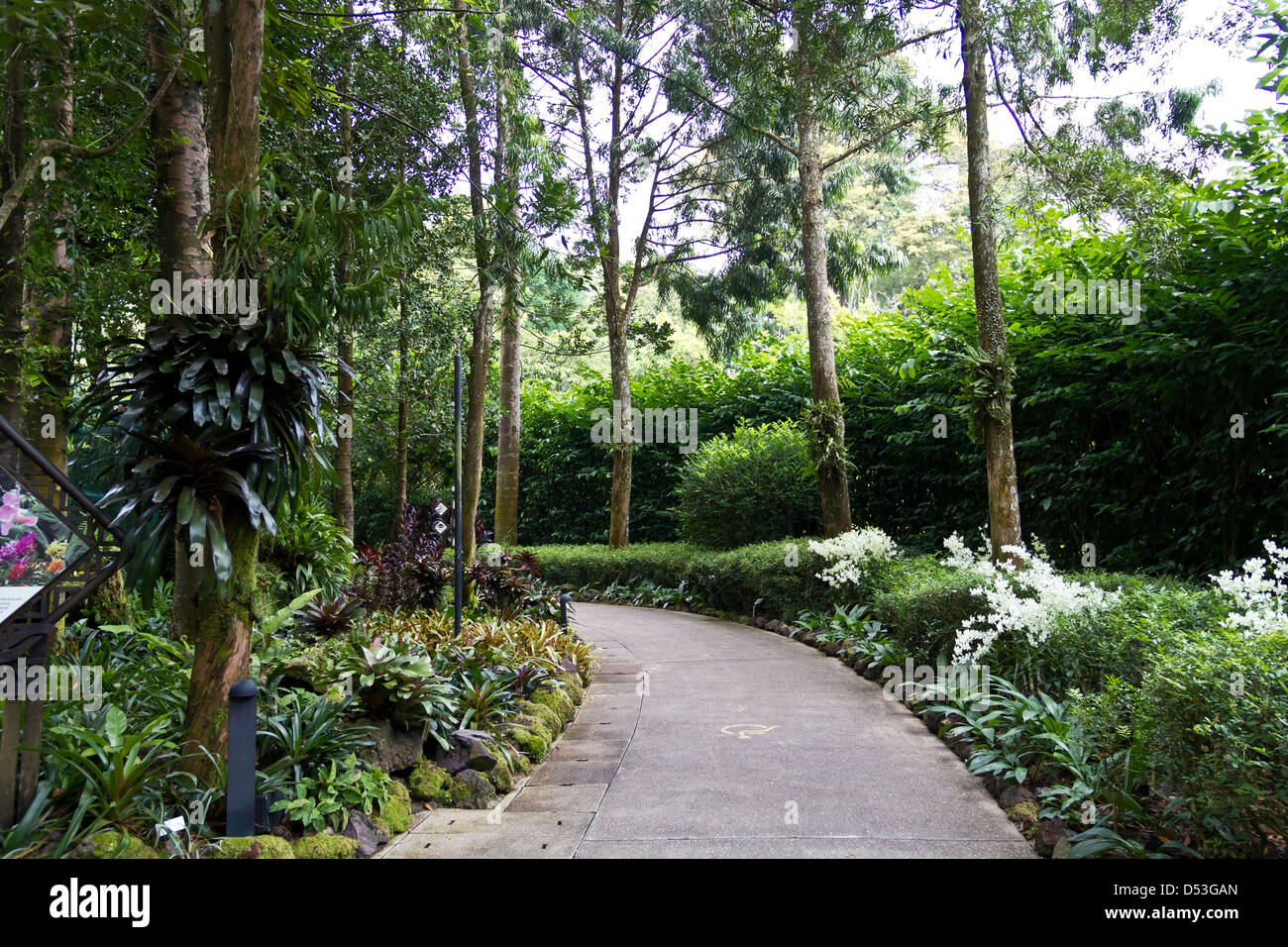 A curved walking path inside the National Orchid Garden in Singapore ...