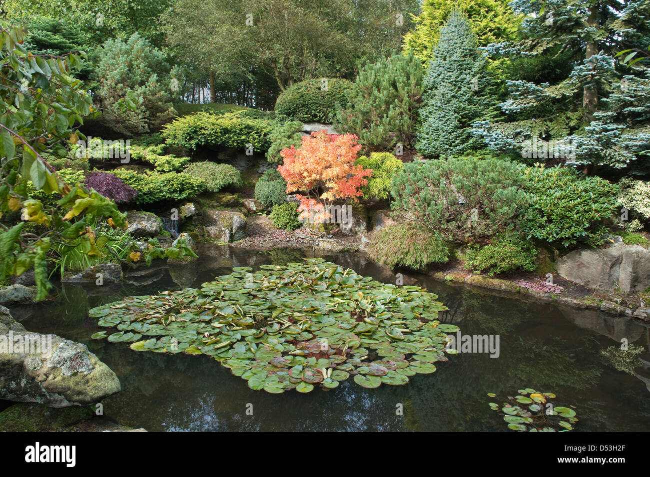 Pond in a rock garden design by Bahaa Seedhom North Yorkshire England ...
