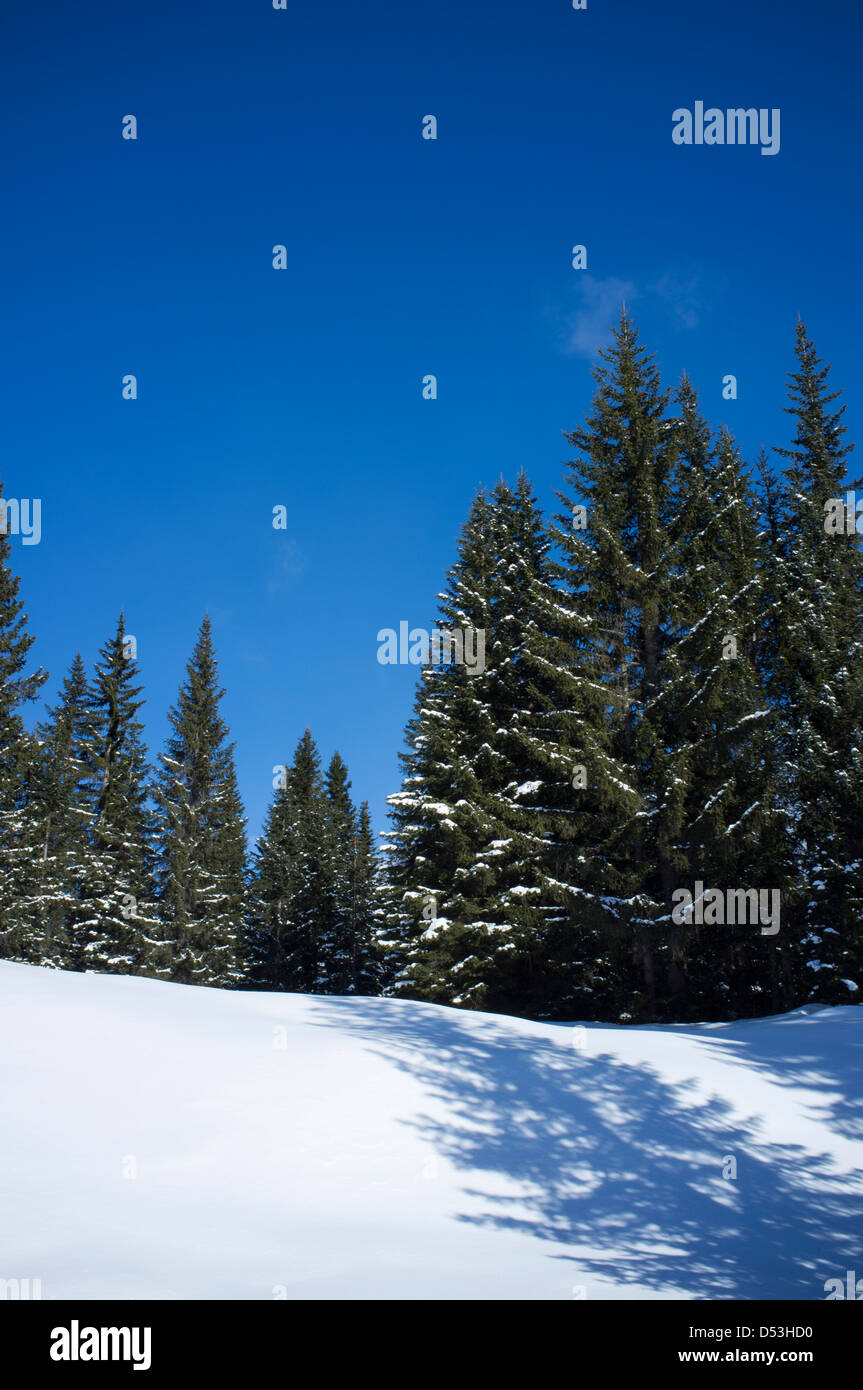 Fresh snow at the Alta Badia ski resort in the Dolomites, South Tyrol ...