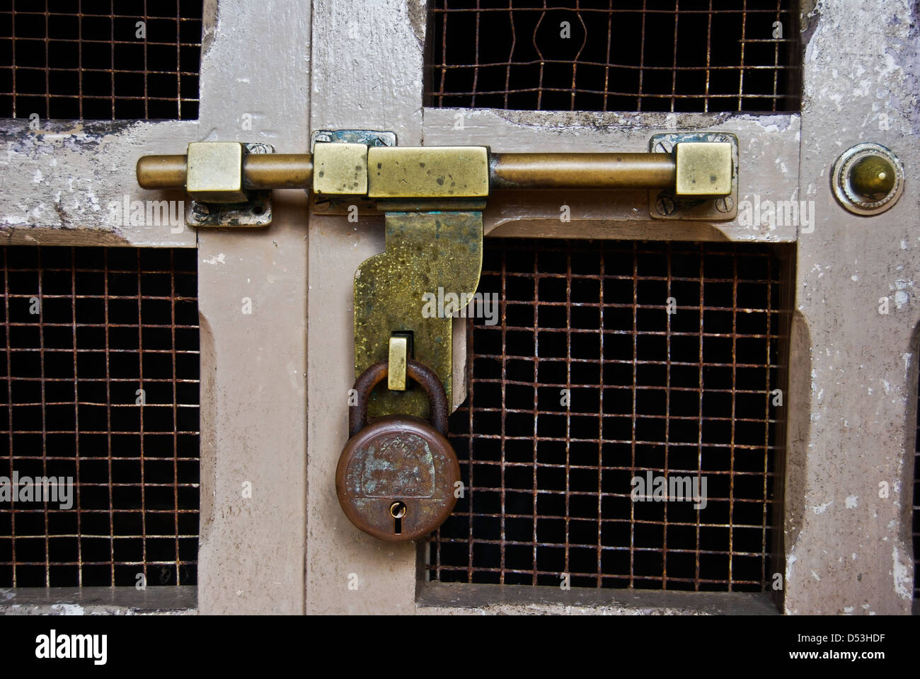 Old Padlocks on a door, India Stock Photo - Alamy