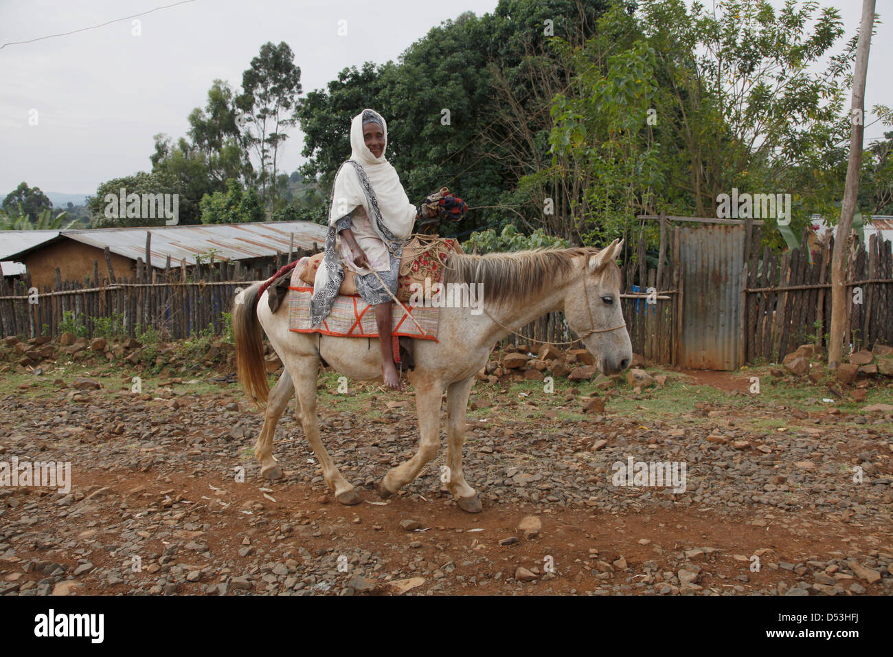 Woman with traditional dress riding donkey in the Jimma region of ...